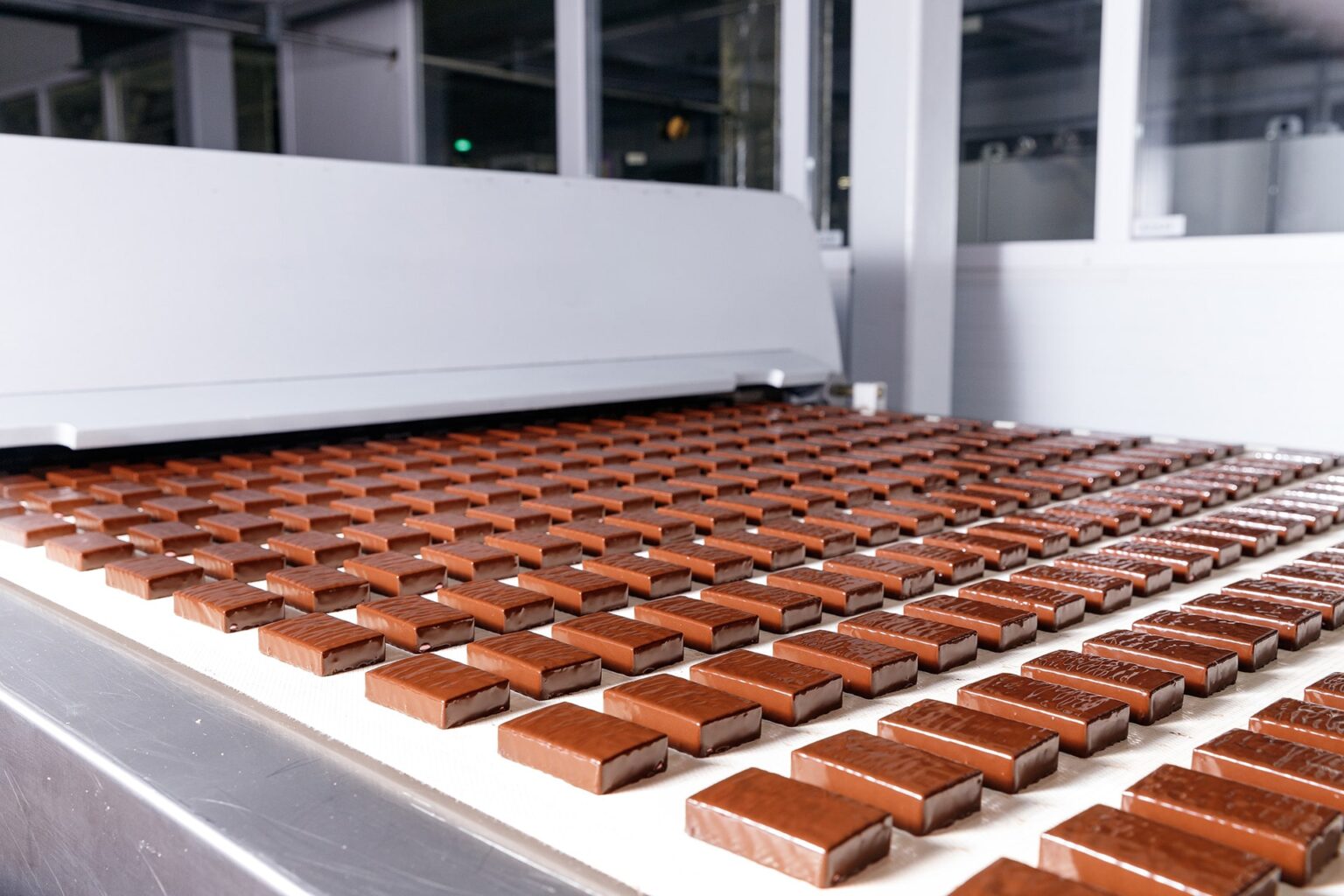 Private Label Protein Bars: Customizable OEM Protein Bars